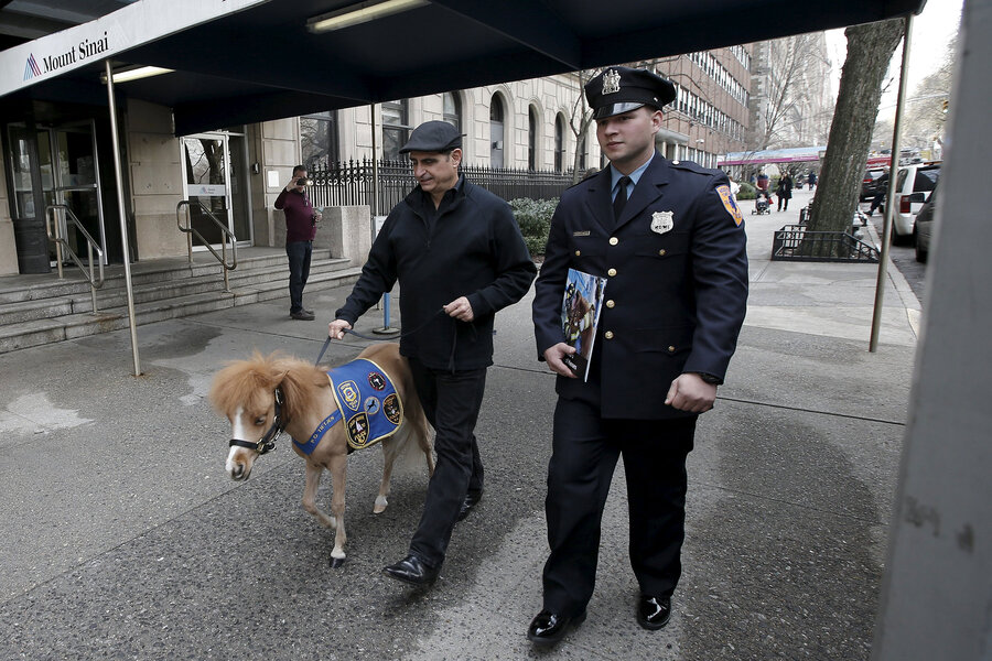 'Cool cop' skates through community police work - CSMonitor.com