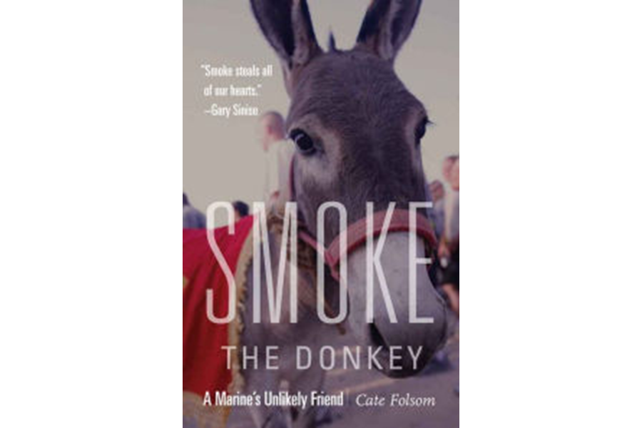 How Smoke the donkey made an unlikely journey from Iraq to the US ...