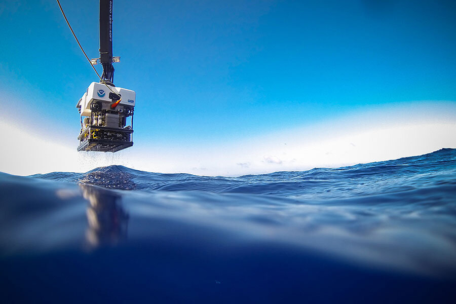 20,000 discoveries under the sea - CSMonitor.com