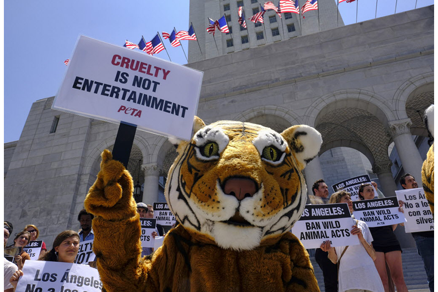 Dublin bans animal acts from circuses. Part of a broader shift ...
