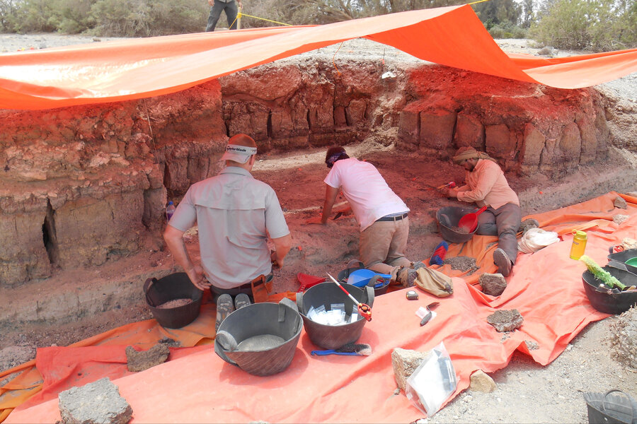 How did ancient butchers work? 250,000-year-old tools offer insight ...