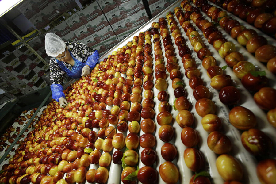 Readers write: Food waste, gun control debate - CSMonitor.com
