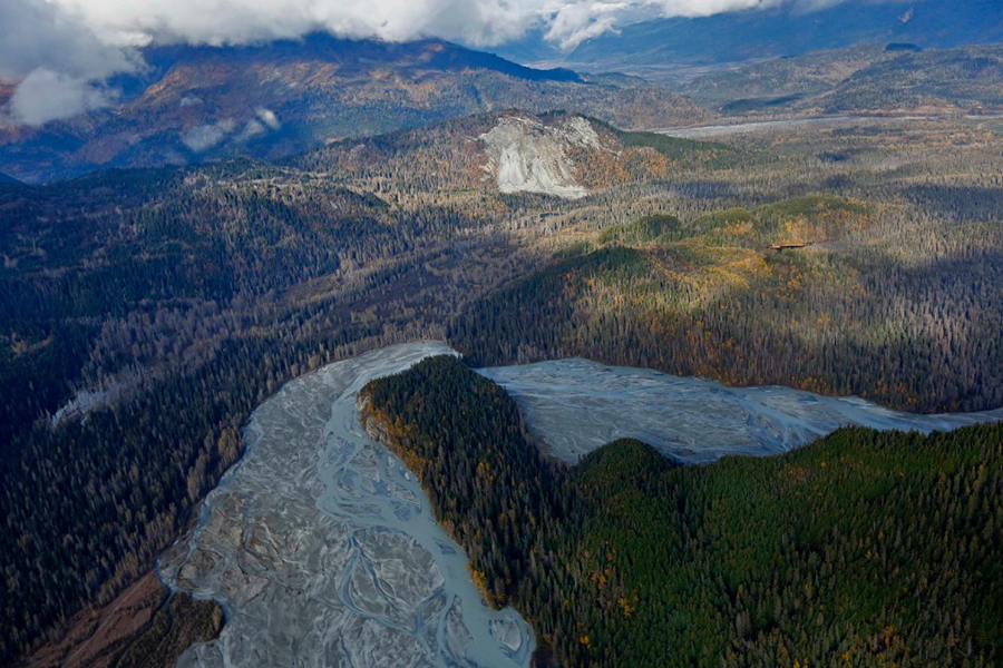 Humans have literally decimated Earth's wilderness, study finds ...