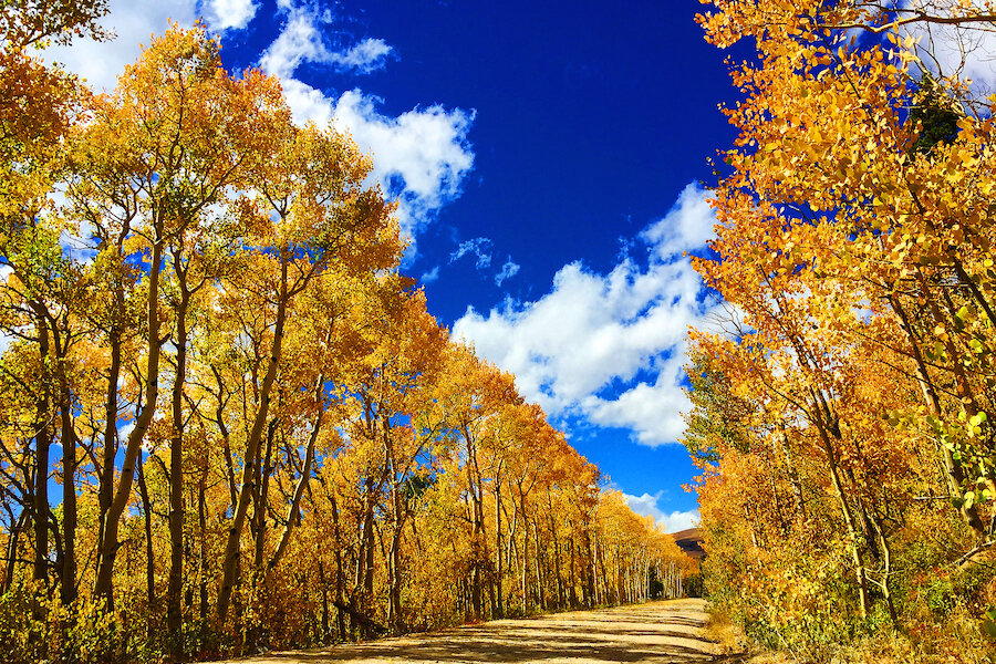 Five amazing places to peep fall foliage on a budget - CSMonitor.com