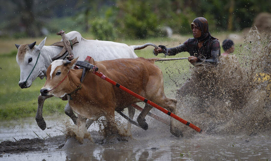 In praise of meat, Scotland and ‘Brexit,’ diplomacy’s role in the ...