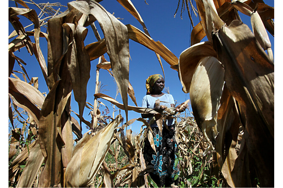 Amid climate change, small-scale farmers find merit in traditional techniques - CSMonitor.com