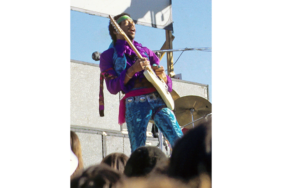 Newly discovered 'Jimi Hendrix' plant imperiled by development ...