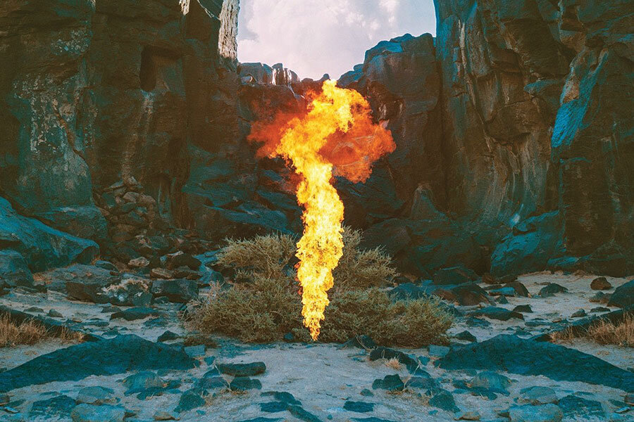 Top Picks: Bonobo's 'Migration,' the film 'Queen of Katwe,' and more ...