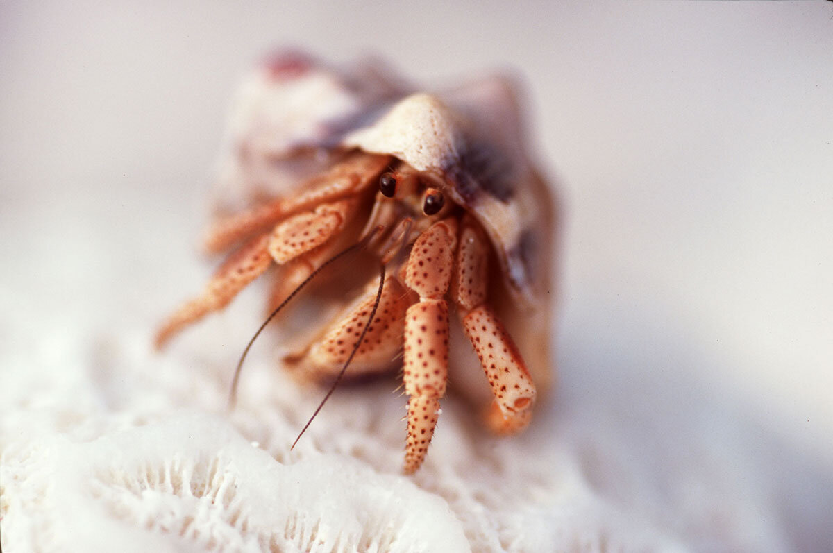 The Christian Science Monitor Daily for June 16, 2017