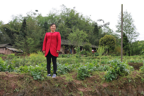 China spent $100 billion on reforestation. So why does it have 'green ...