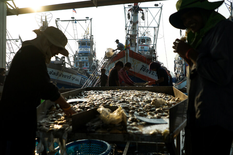 New online tool helps seafood companies fight slavery - CSMonitor.com