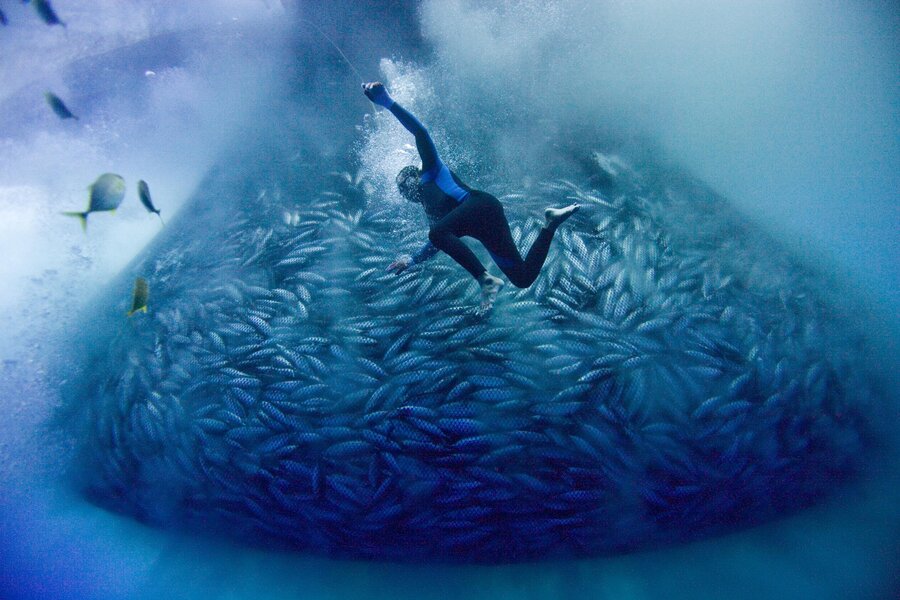 One film festival's quest to turn moviegoers into ocean stewards ...