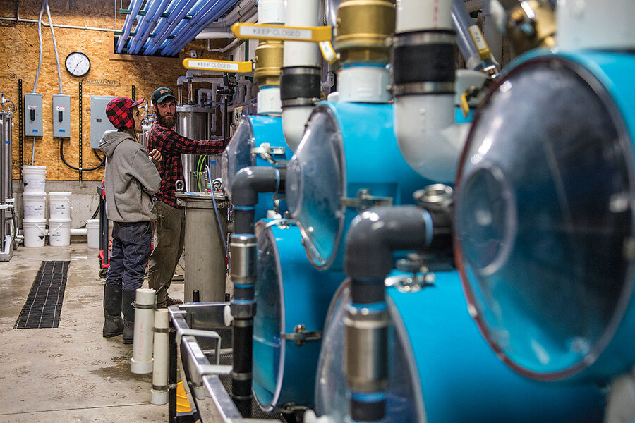 Maple syrup inc.: Vermont’s maple syrup tradition goes high tech, high ...