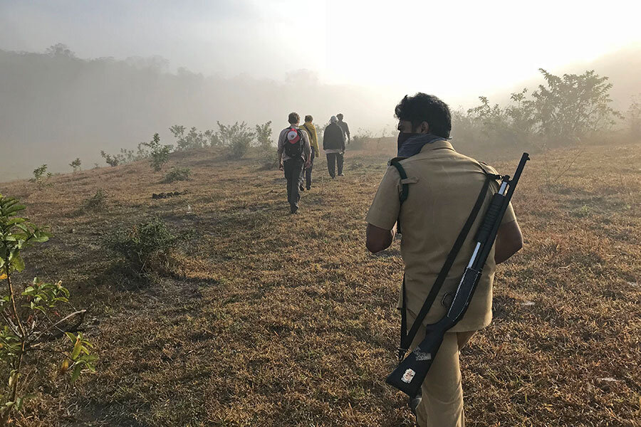 Poachers become protectors: How tigers bounced back in an Indian park ...