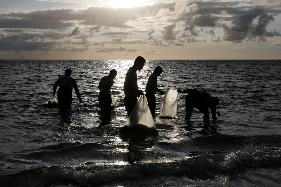 Rethinking disposable straws – for the sake of the oceans - CSMonitor.com