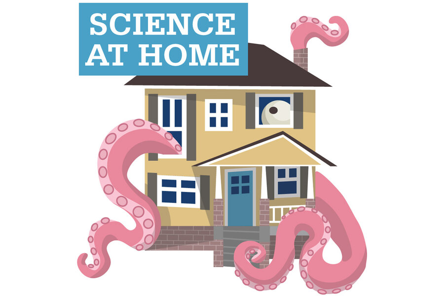 Science at Home - The Christian Science Monitor - CSMonitor.com