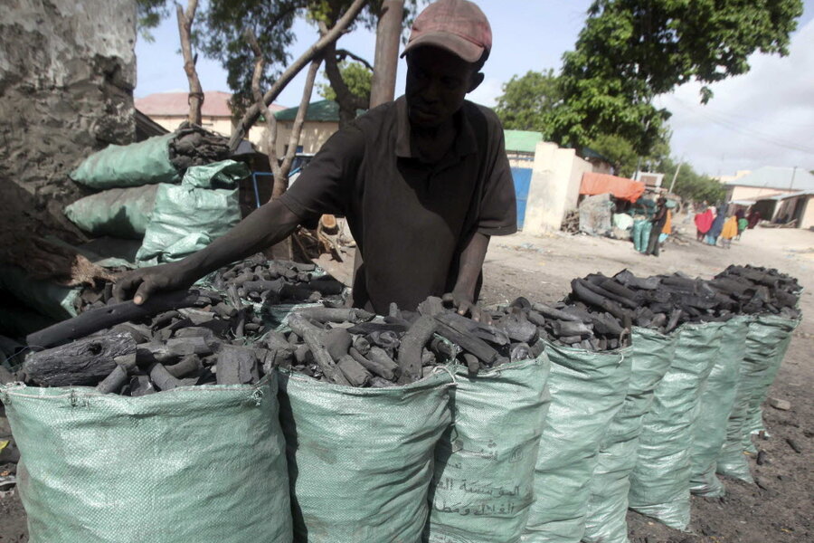 Iran and UAE complicit in illegal charcoal trade with Somali militants ...