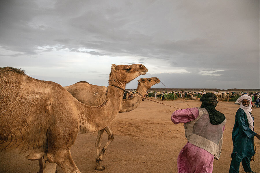 Cure Salée: Niger’s nomad oasis - CSMonitor.com