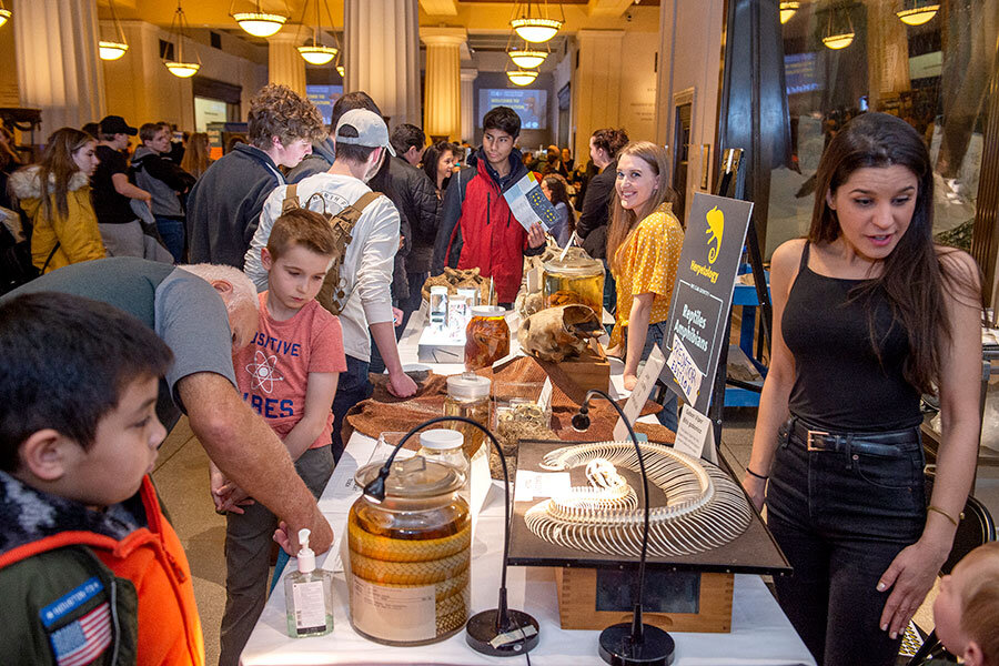 Identifying fossils and fakes - CSMonitor.com