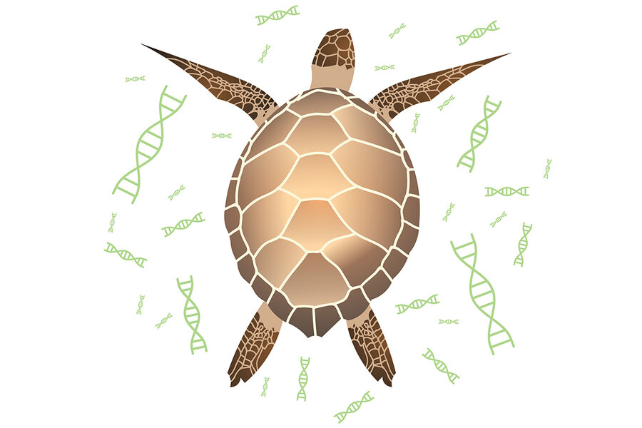 eDNA ‘opens up a whole world’ of oceanography research - CSMonitor.com