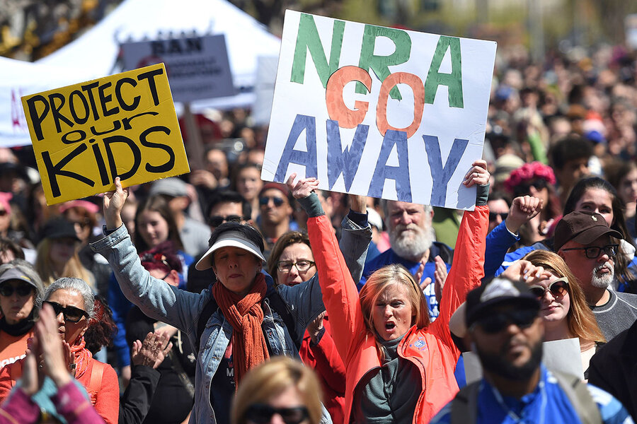 Gun rights advocates tell NRA: Clean up your act - CSMonitor.com