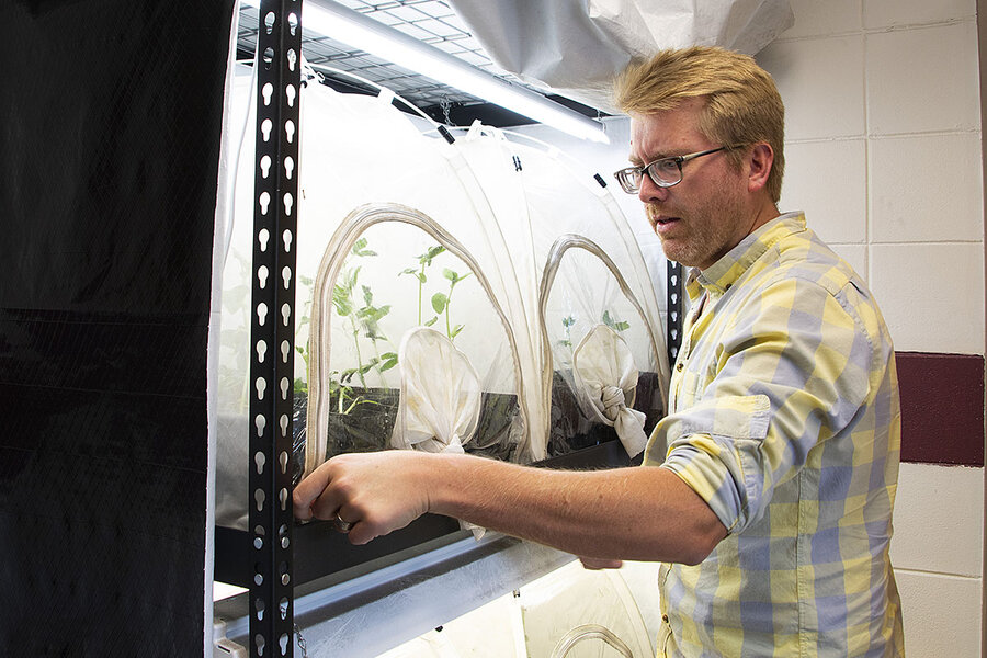 Brandon Barton: What makes a scientist play AC/DC for ladybugs ...