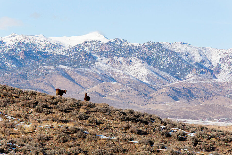 Mustangs and the American West. New plan seeks to protect the range ...