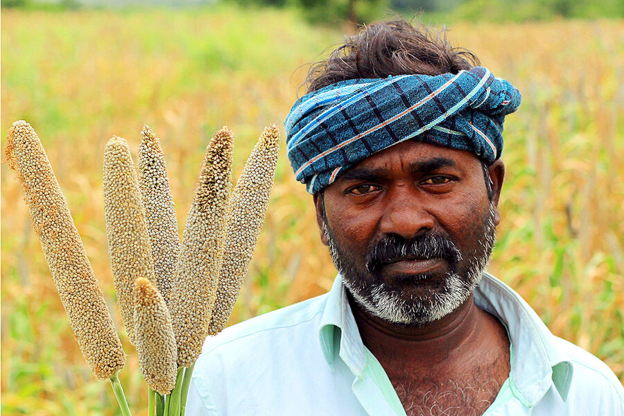 Millet farming sees revival in India - CSMonitor.com