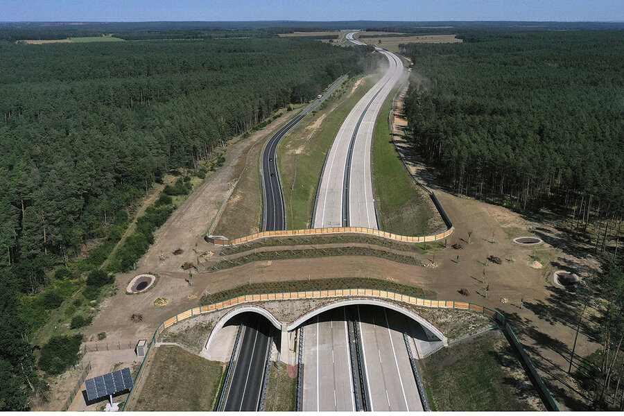Utah wildlife bridge: How bears, moose can safely cross the road