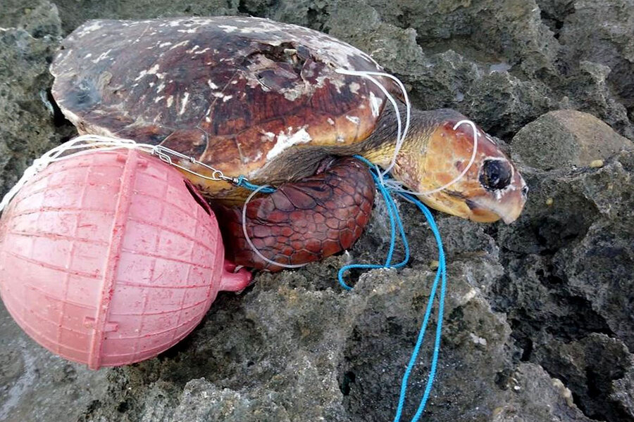 On a remote Seychelles island, 60,000 discarded flip-flops - CSMonitor.com