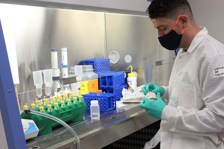 Pandemic response: How small groups armed with data are helping ...