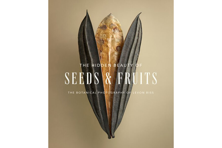 Levon Biss photographs tiny seeds, magnified a thousandfold - CSMonitor.com