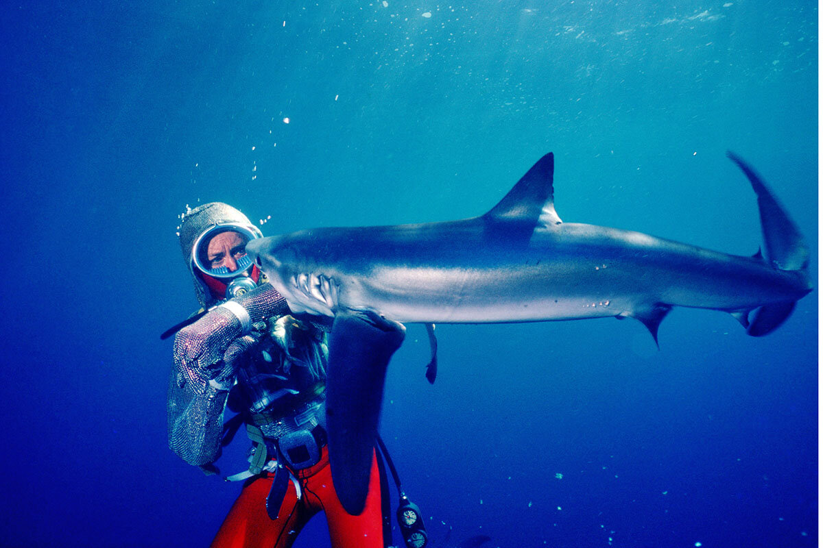 Sharks gain a fan in the woman who generated fear of them in ’Jaws.’