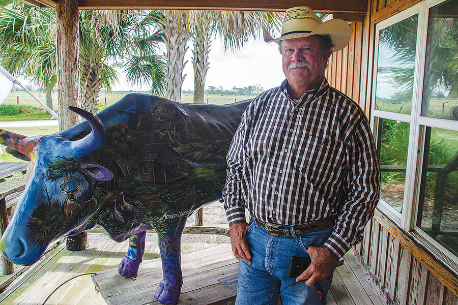 Florida’s panther population is growing. So is its human population ...