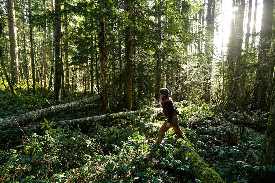 Carbon offsets are growing fast, but climate benefits remain murky ...