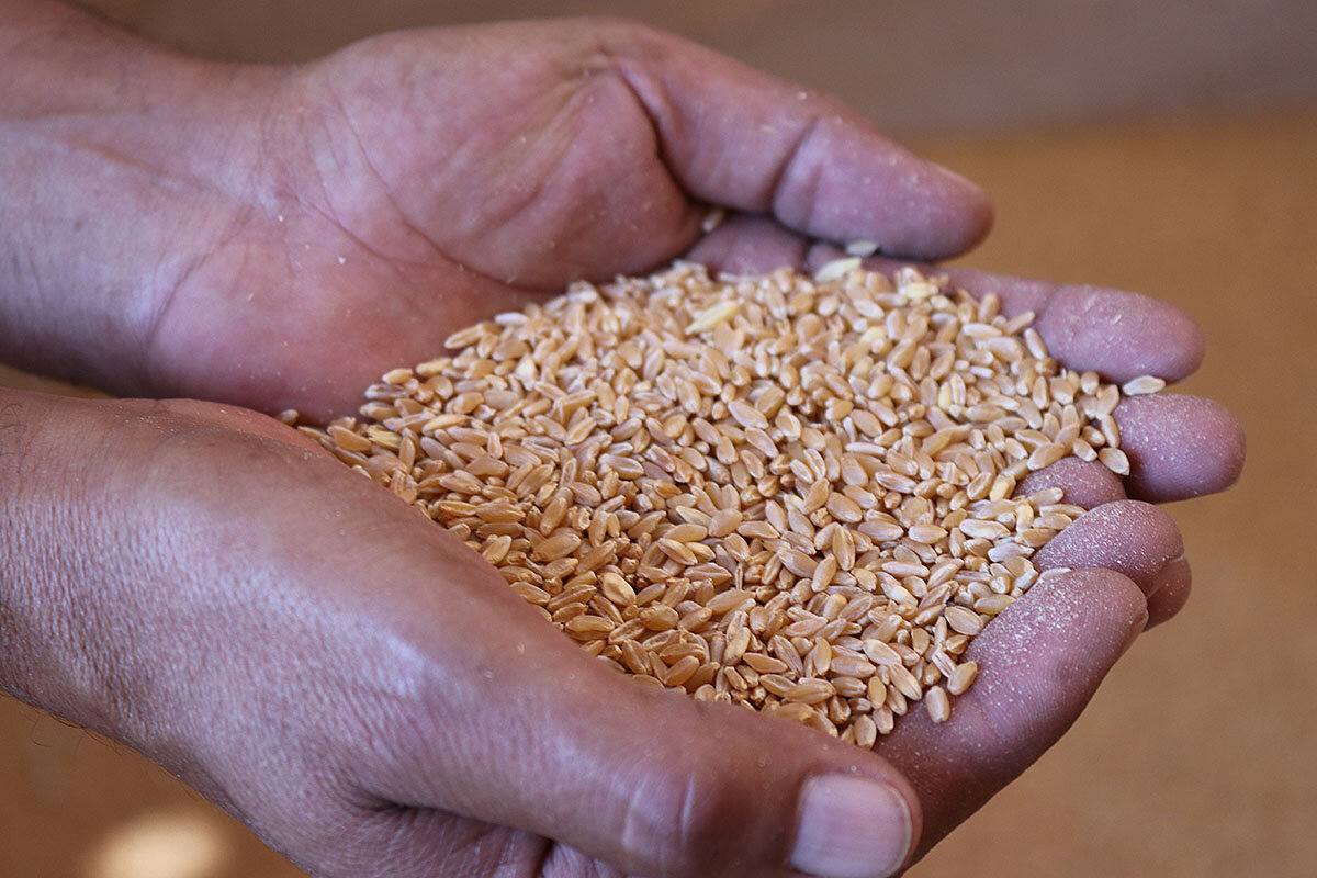 Jordanians get a taste of history in their daily bread - CSMonitor.com