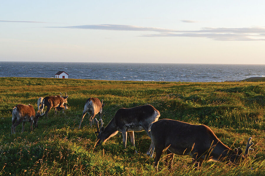 Rural exodus: Newfoundland’s quest to save its community - CSMonitor.com