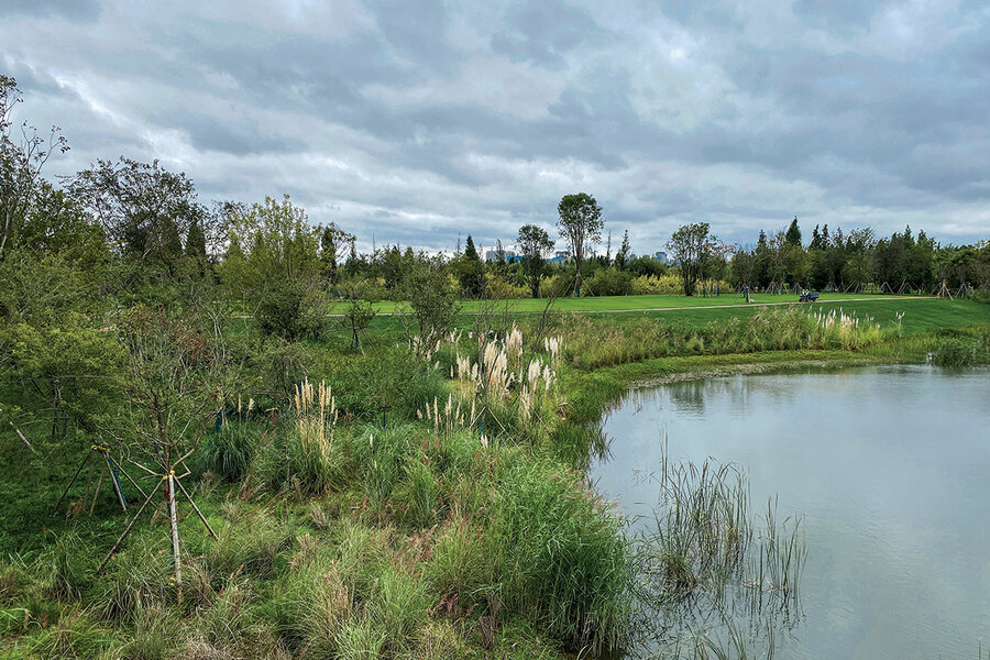 Women at work in Saudi Arabia, low-level traffic-stop bans in US ...