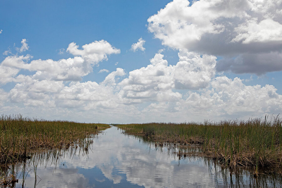 Everglades: Inside one of the world’s largest restoration efforts ...