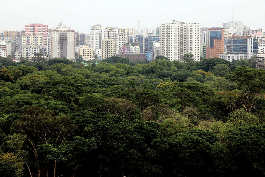 Cheese, trees, and the resilience of people and nature around the world ...
