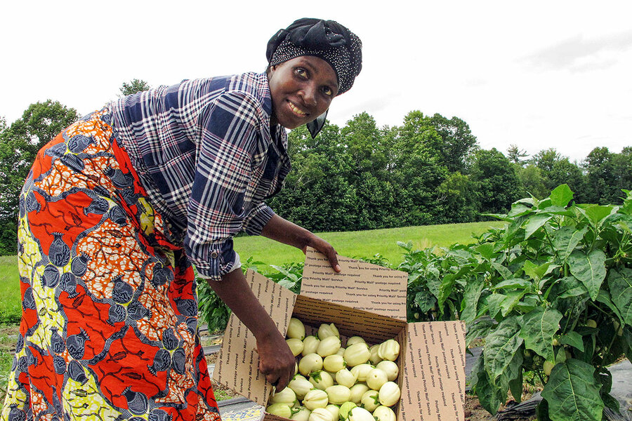 Food bank gains: A refugee farmer’s growing harvest