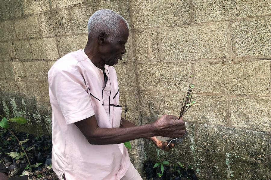 In Nigeria, Igbajo locals plant trees in project to curb flooding ...