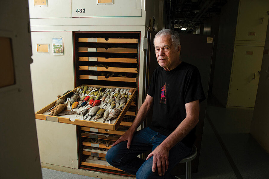 Birds killed in collisions with buildings is a problem. Fixes exist ...