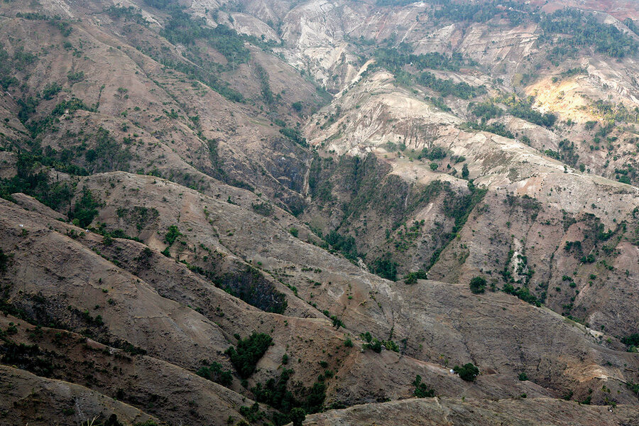 Recycling food waste in South Korea, and nursing Haiti's forests ...