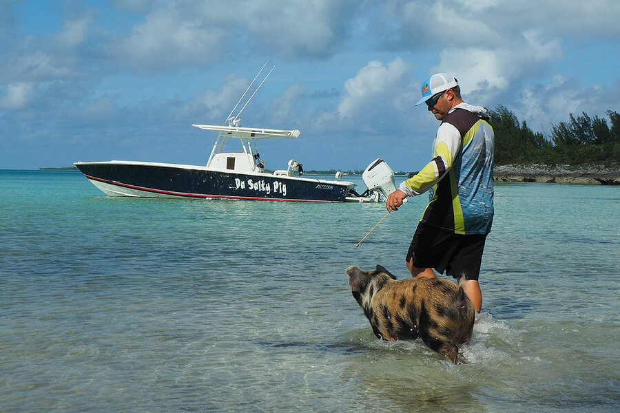 When pigs swim: Climate change and adapting in the Bahamas