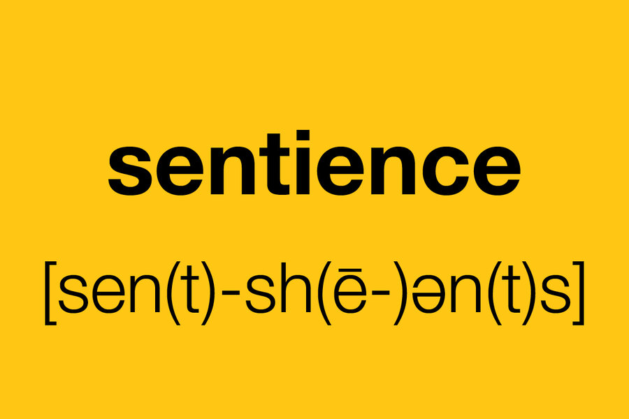 How should we talk about artificial intelligence? - CSMonitor.com