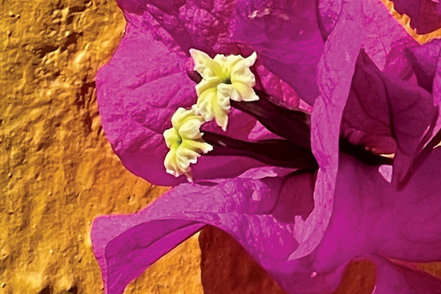 In full color: A photographer’s lens brings the hues of Mexico to life ...