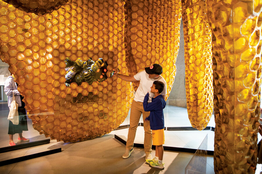 In Pictures: Step inside New York’s newest insectarium - CSMonitor.com