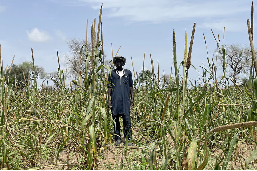 An ancient technique brings hope to desert farmers in Senegal ...