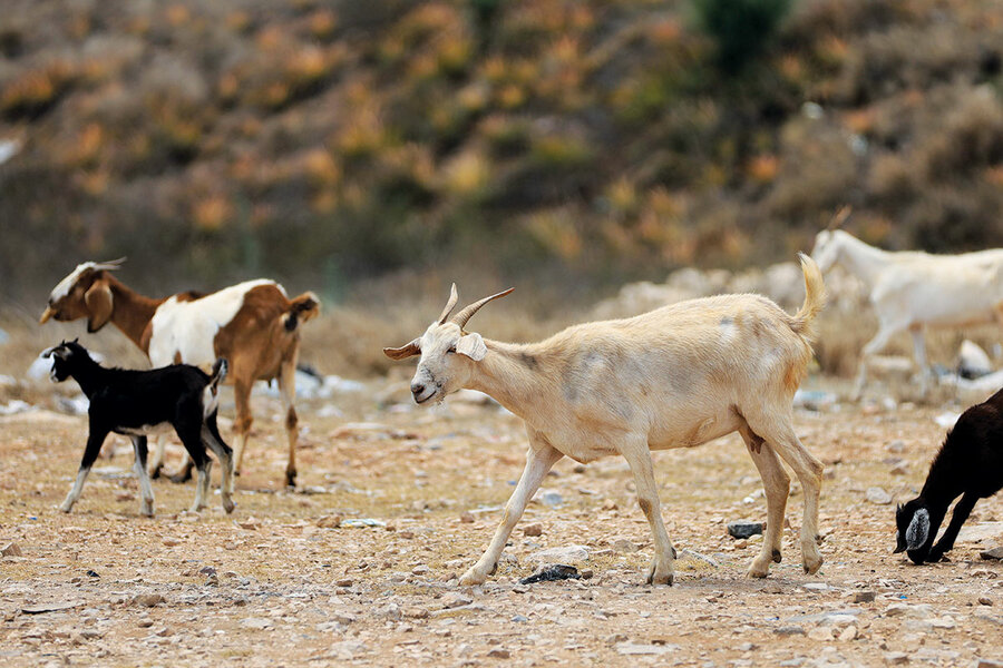 Data-rich solutions: From universal basic income to global emissions ...